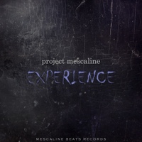 They (Original Mix) /Project Mescaline - 벅스