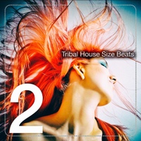 Tribal House Size Beats, Vol. 2 (The Tribal House Beats) - 벅스