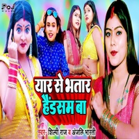 Yaar Se Bhatar Handsome Ba - 벅스