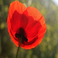 Go In Order - 벅스