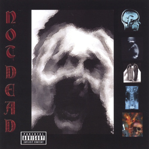 Not Dead - 벅스