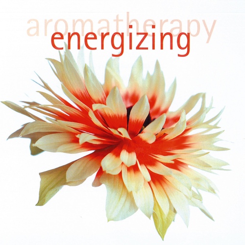 Aromatherapy：Energizing - 벅스