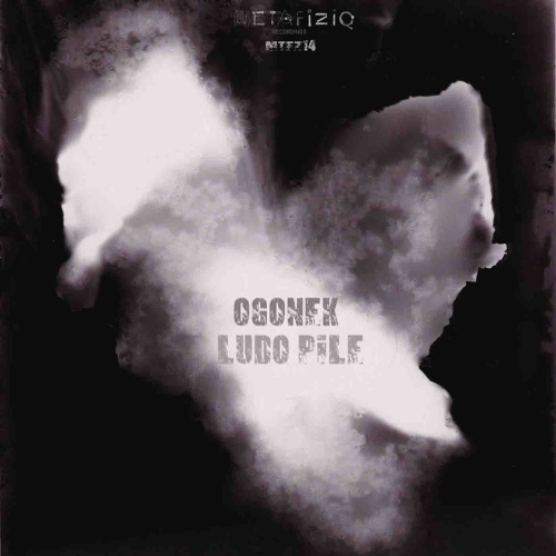 Ludo Pile - MTFZ14 - 벅스