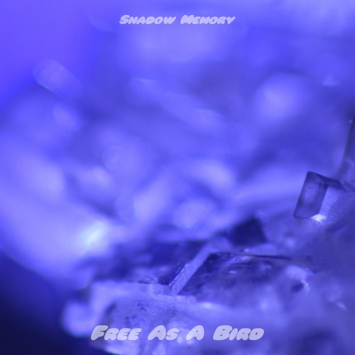 The Victims /Shadow Memory - 벅스