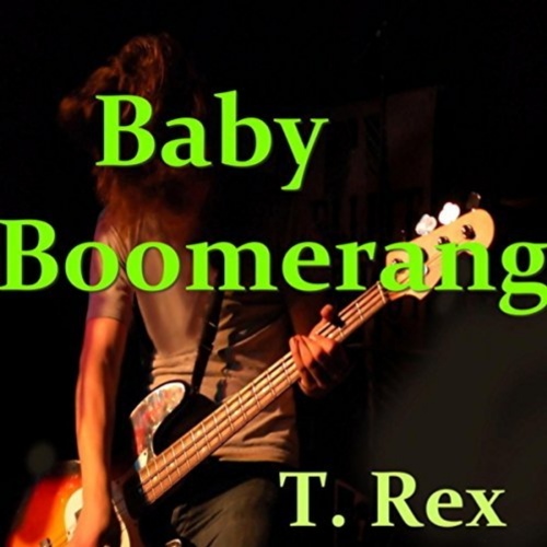 Baby Boomerang - 벅스