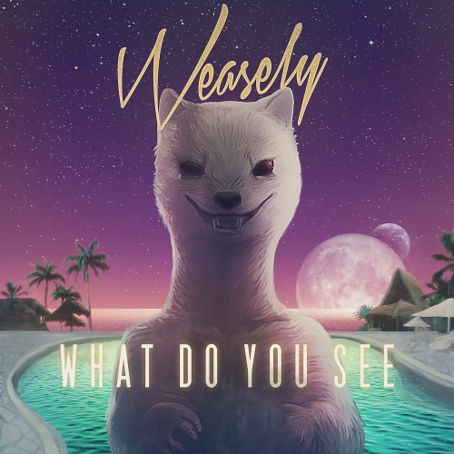 What Do You See (Original Mix)/Weasely - 벅스