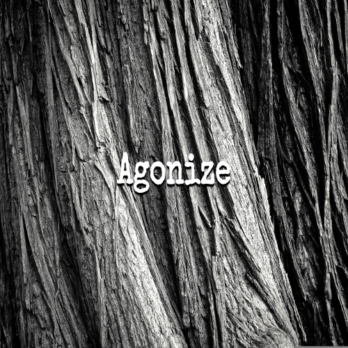 Agonize - 벅스