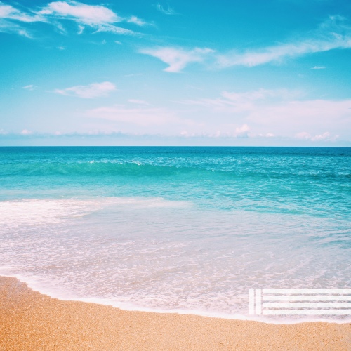 Essence/Sea Sounds, Satisfying Ocean Sounds, Sounds of Nature Zone - 벅스