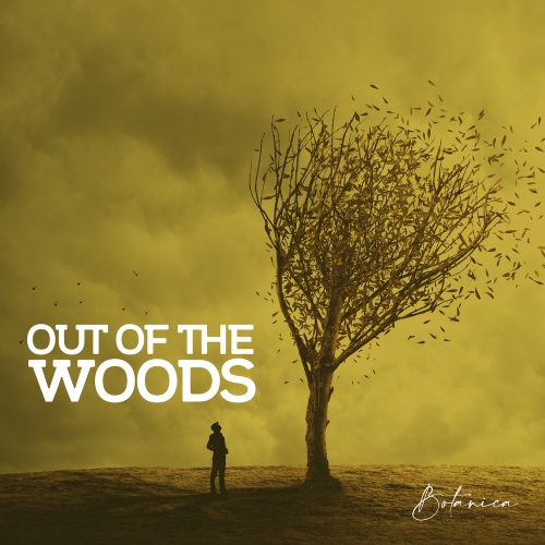 Botanica/out of the woods - 벅스