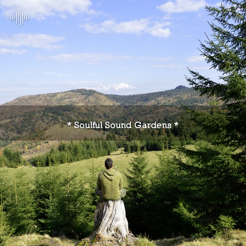 Water Sounds At The Sea Shell Beach/Between Waves, Sleep Sounds of ...