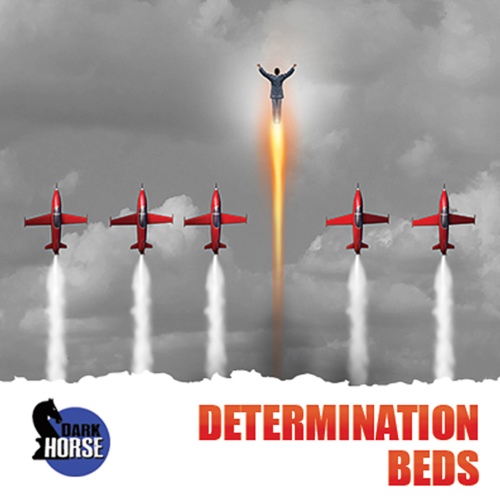 Determination Beds - 벅스