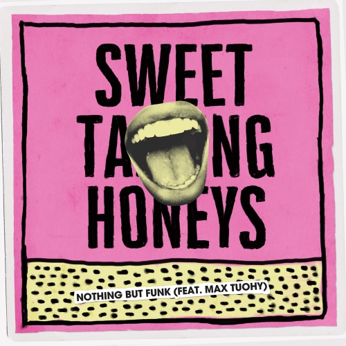 Sweet Talking Honeys (feat. Max Tuohy)/Nothing But Funk - 벅스