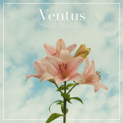 Ventus - 벅스