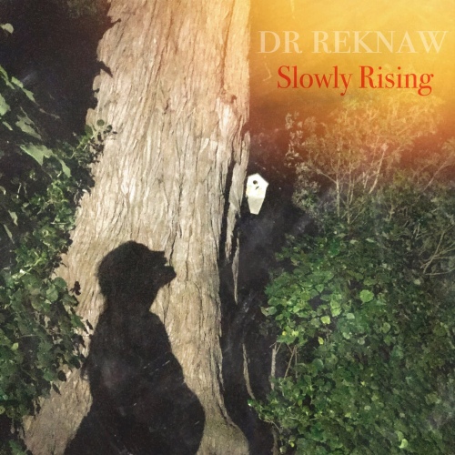 Slowly Rising - 벅스