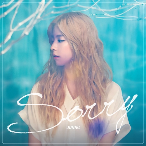 Sorry (inst.)/JUNIEL - 벅스