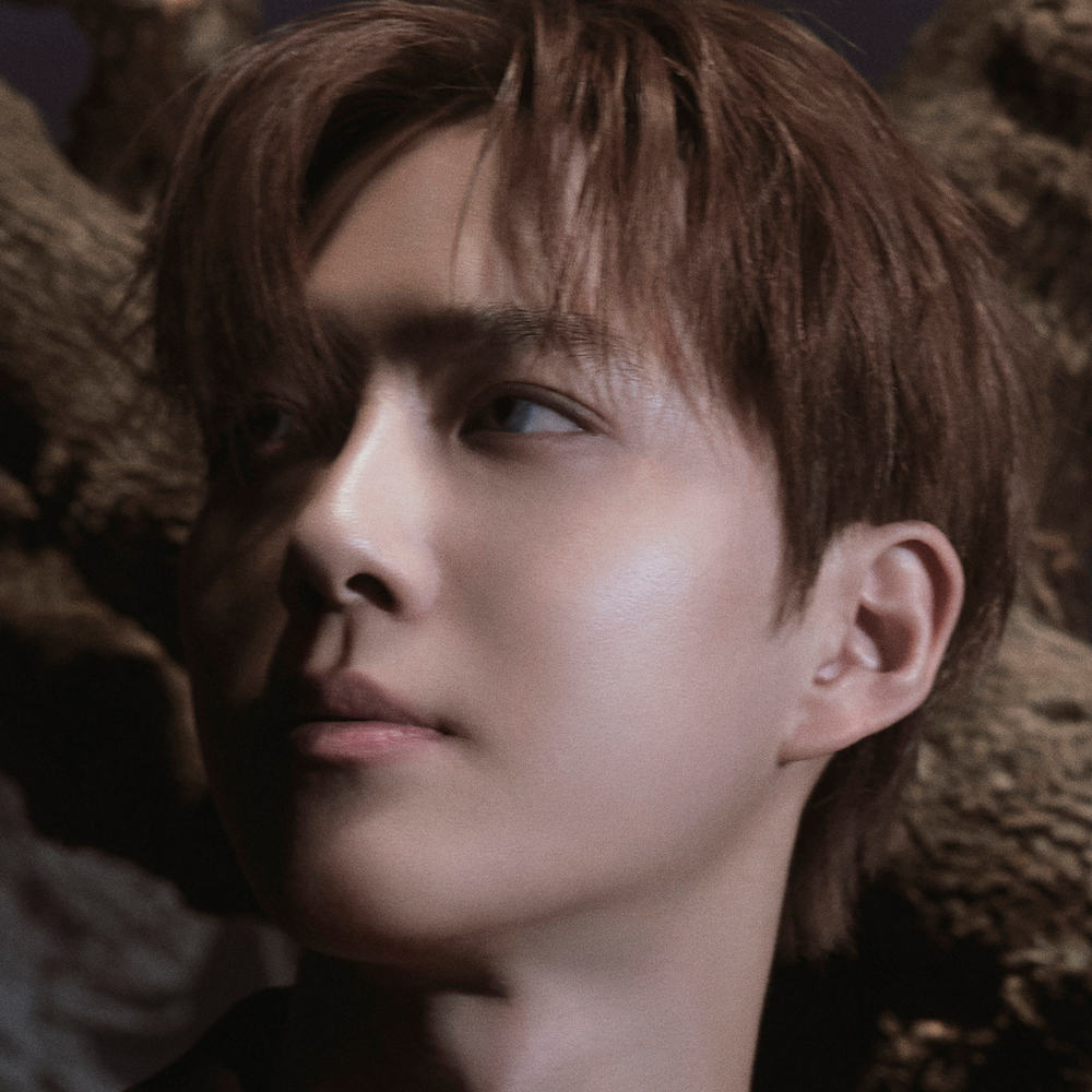 수호 (SUHO)의 오늘 현황, 팬덤 데이터 관측기ㅣ케이팝레이더 (K-POP RADAR)